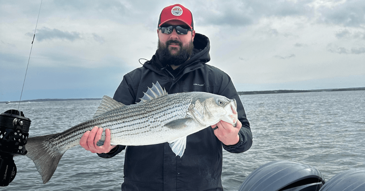 Cape Cod Canal & Buzzards Bay Report with AJ Coots of Red Top - My ...