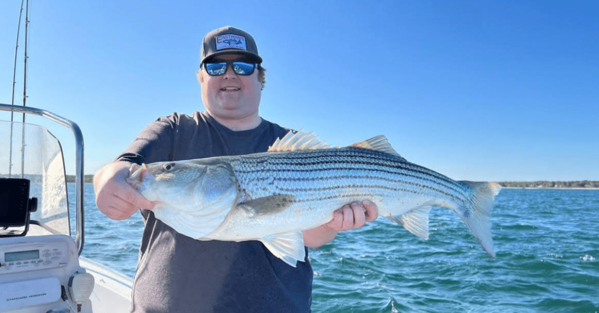 Inside The Epic Falmouth Fall Run With Evan Eastman - My Fishing Cape Cod