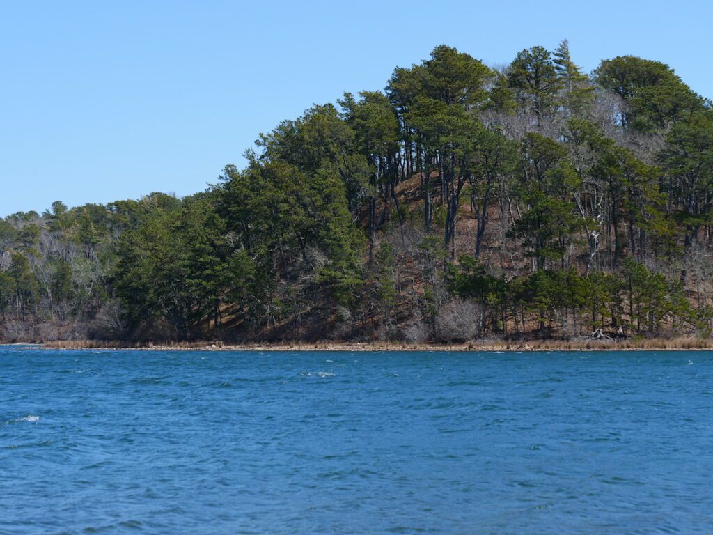 Wind, Wilderness, and Rainbow Trout: Spring Shore Fishing on Cape Cod's ...