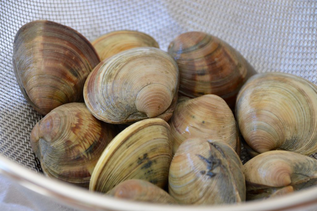 Our Dairy-Free Cape Cod Clam Chowder Recipe
